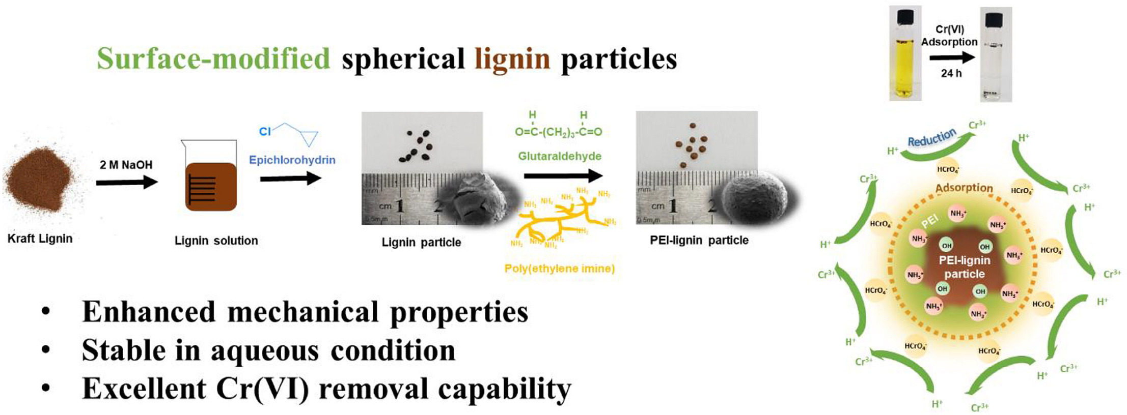 Surface-modified spherical lignin particles with superior Cr (VI ...