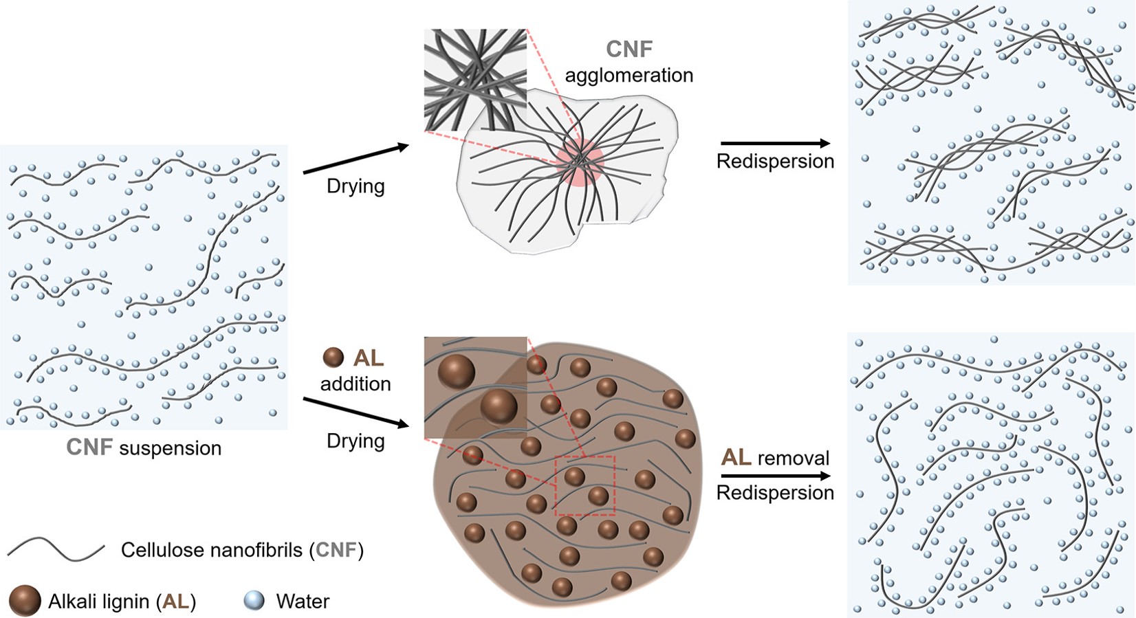 Eco-friendly alkaline lignin/cellulose nanofiber drying system for ...