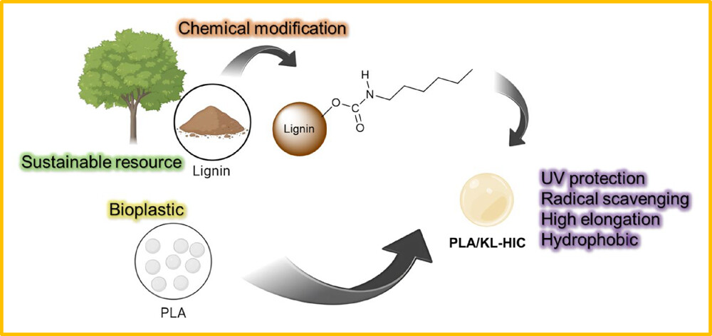 Valorization-of-Kraft-Lignin-via-Isocyanate-Modification-for-Use-in ...